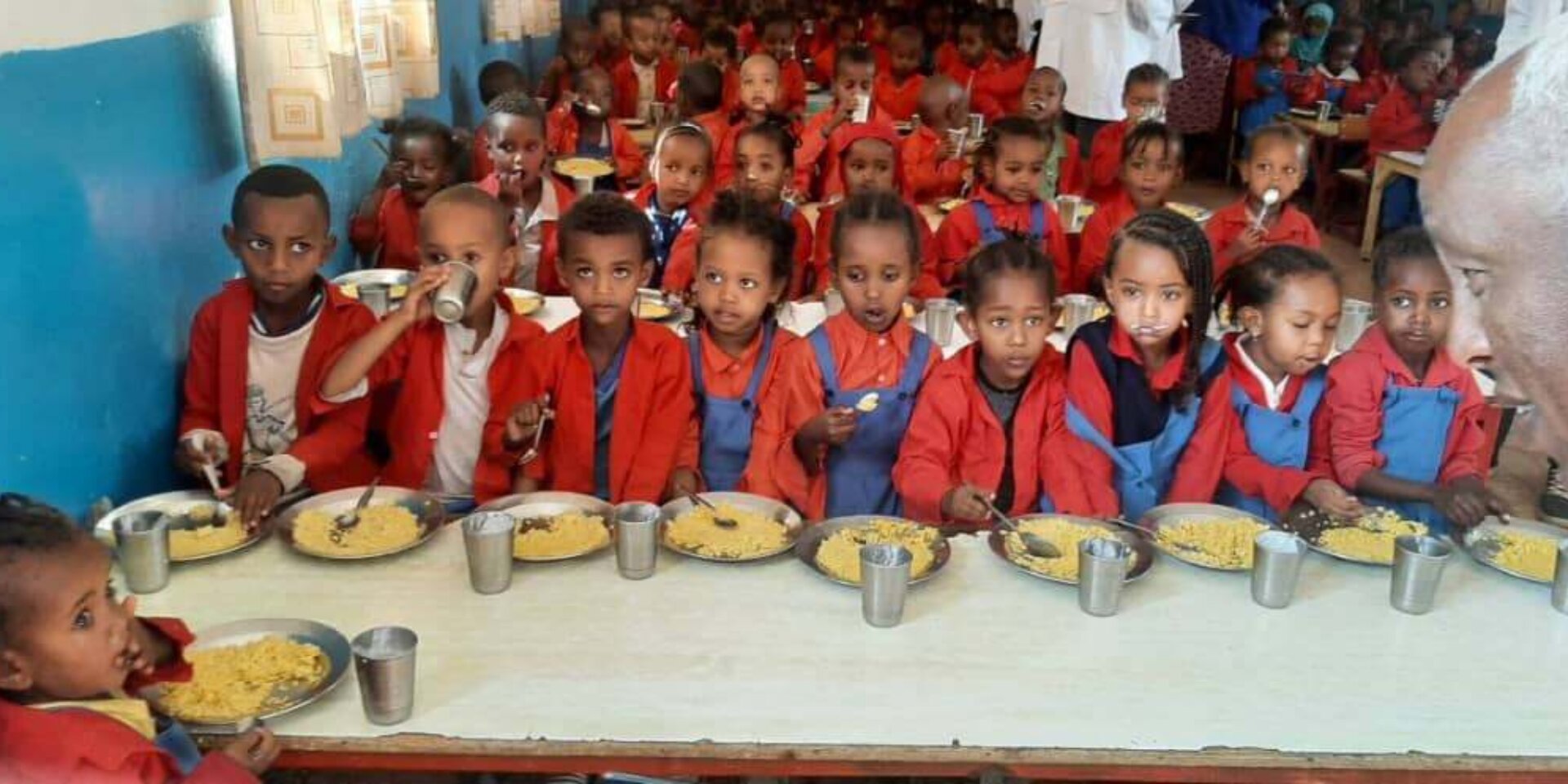 Nurturing Minds and Shaping the Future: School Milk's… | NFP Connects